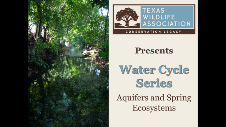 Aquifers & Spring Ecosystems - Texas Wildlife Association