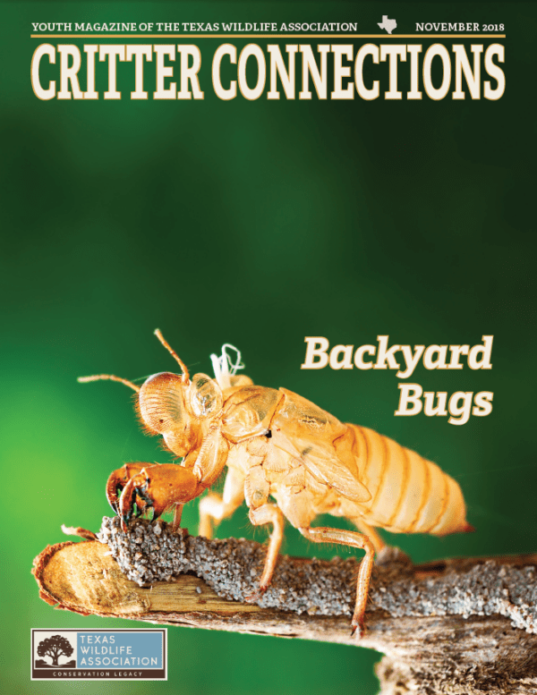 Critter Connections Magazine - Texas Wildlife Association