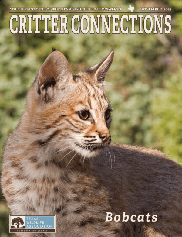 Critter Connections Magazine - Texas Wildlife Association