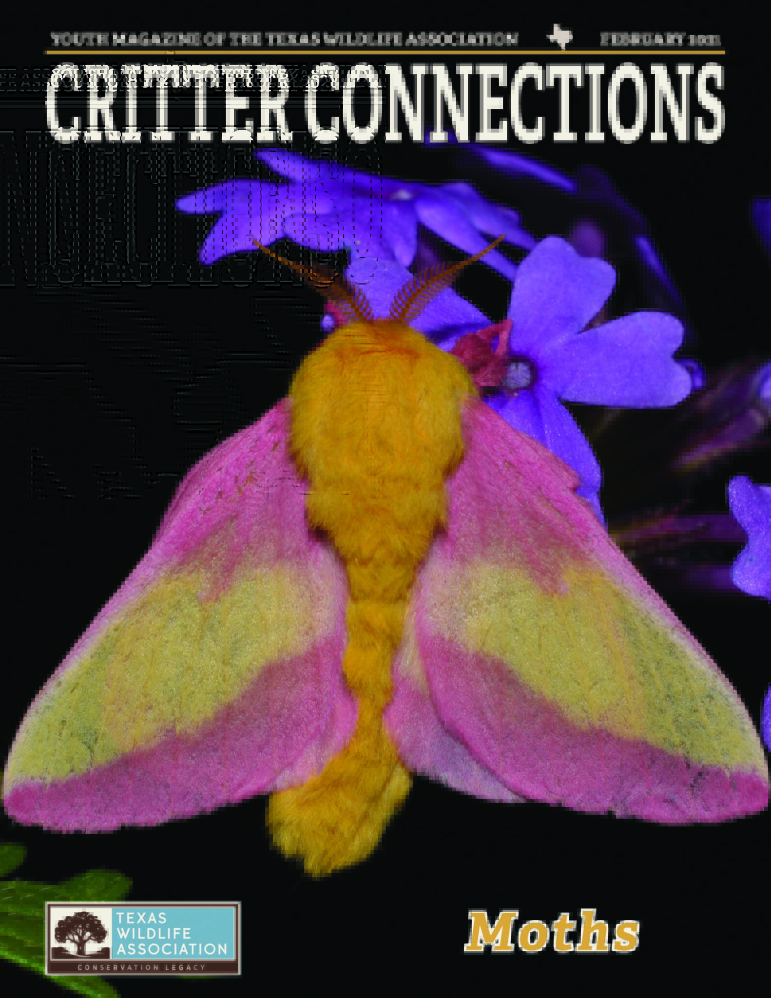 Critter Connections Magazine - Texas Wildlife Association