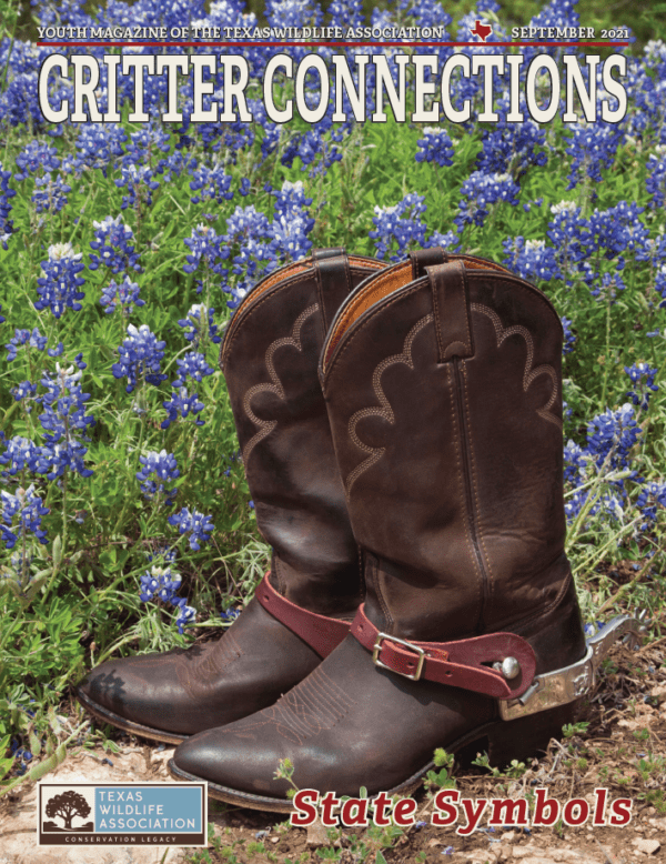 Critter Connections Magazine - Texas Wildlife Association