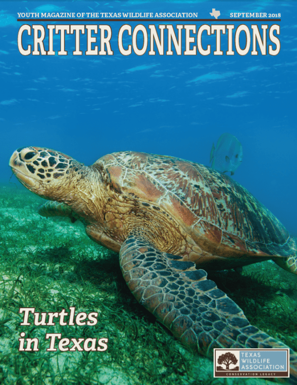 Critter Connections Magazine - Texas Wildlife Association