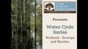 Wetland Ecosystems - Texas Wildlife Association