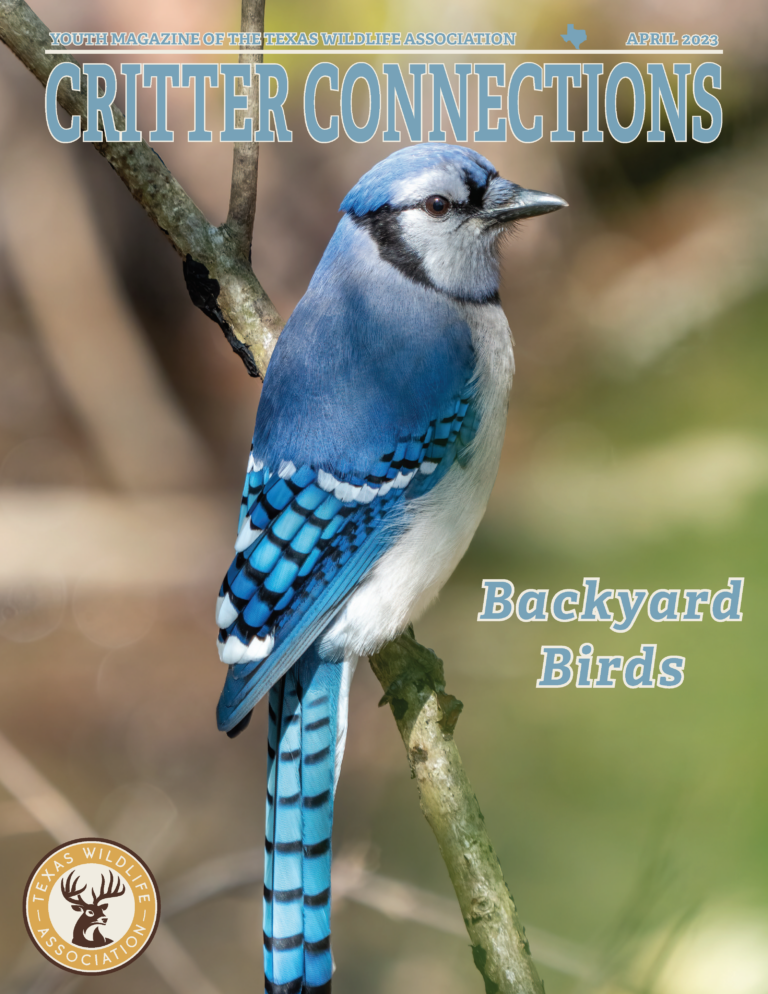 Critter Connections Magazine - Texas Wildlife Association