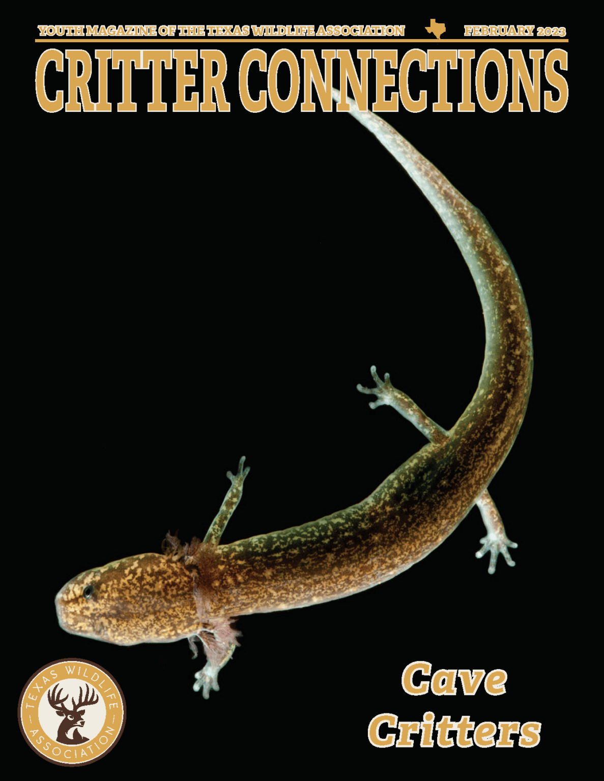 Troglobite Archives - Texas Wildlife Association