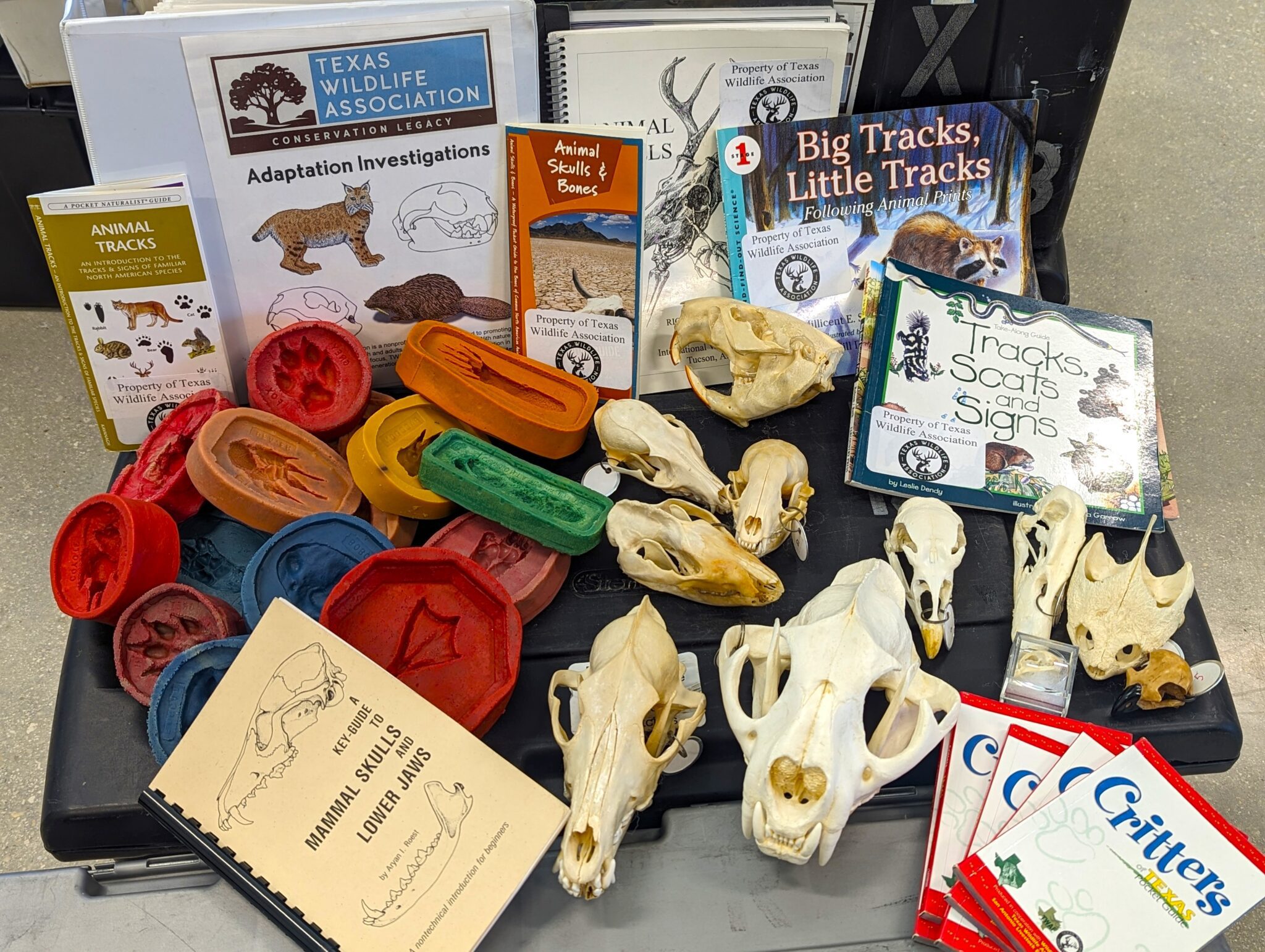 Discovery Trunks – Texas Wildlife Association