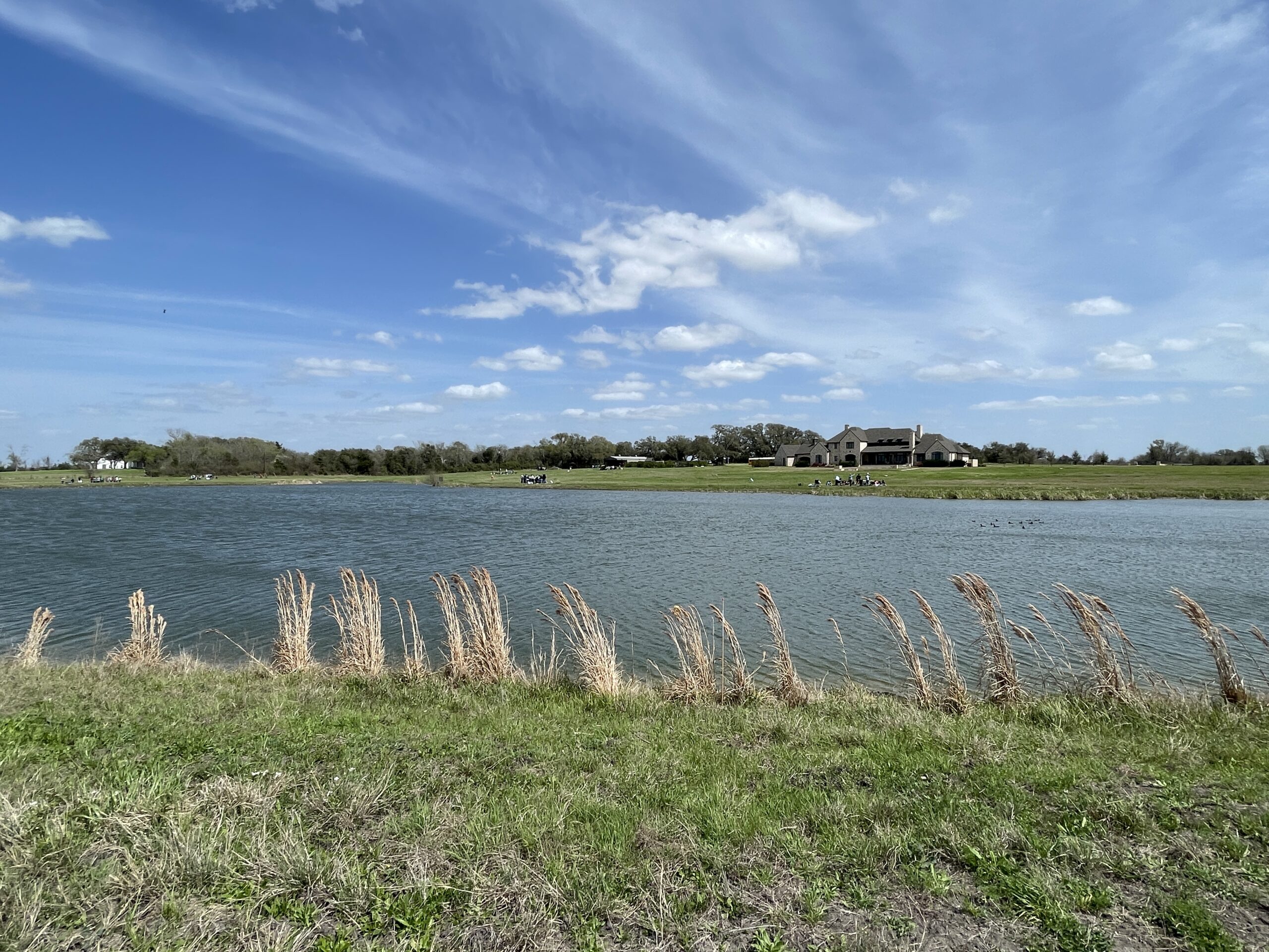 Pond Management 101 - Texas Wildlife Association