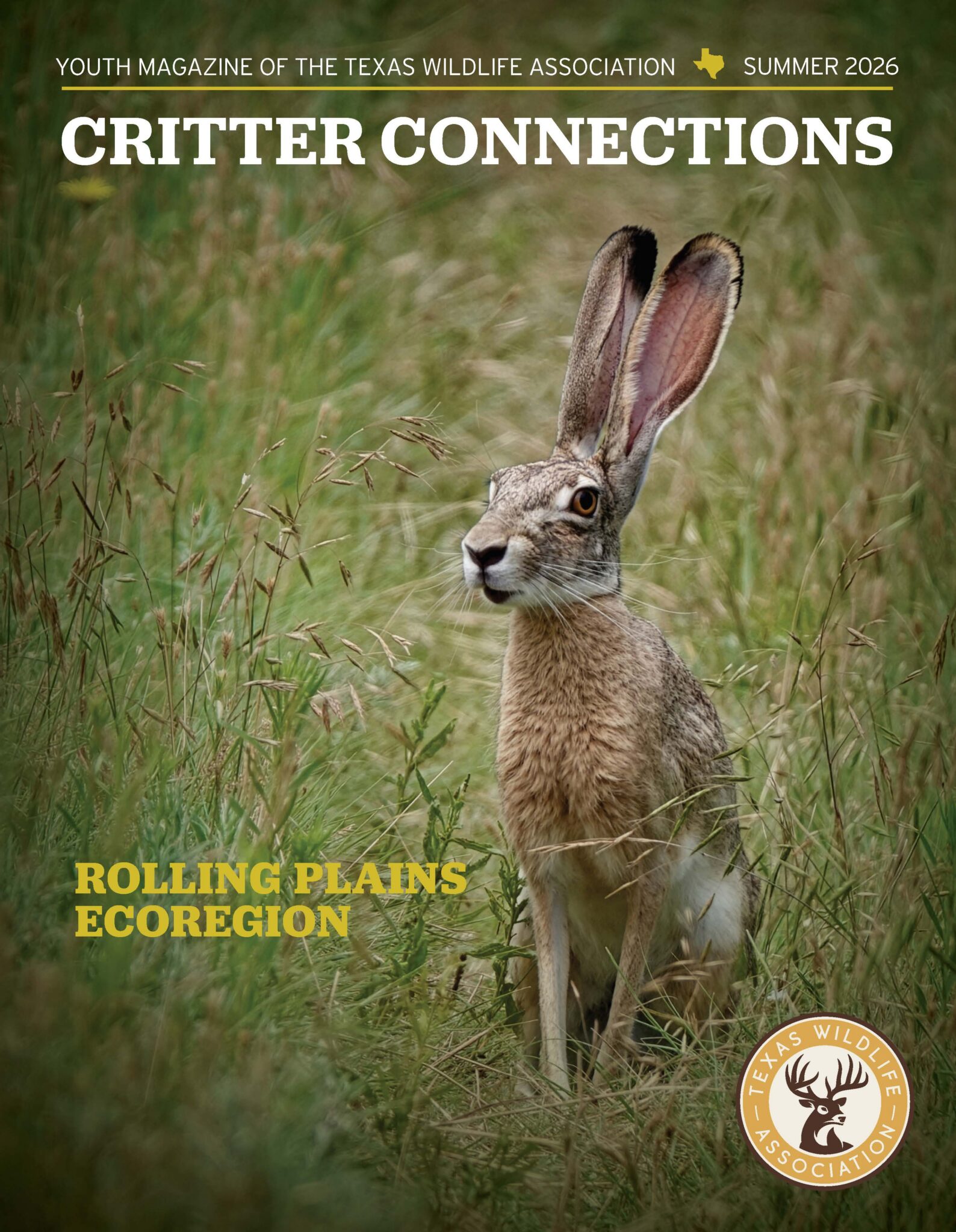All About Foxes - Texas Wildlife Association